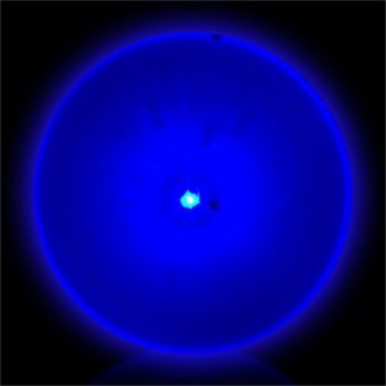 Blue LED Circle Blinky-12 Pack | Windy City Novelties